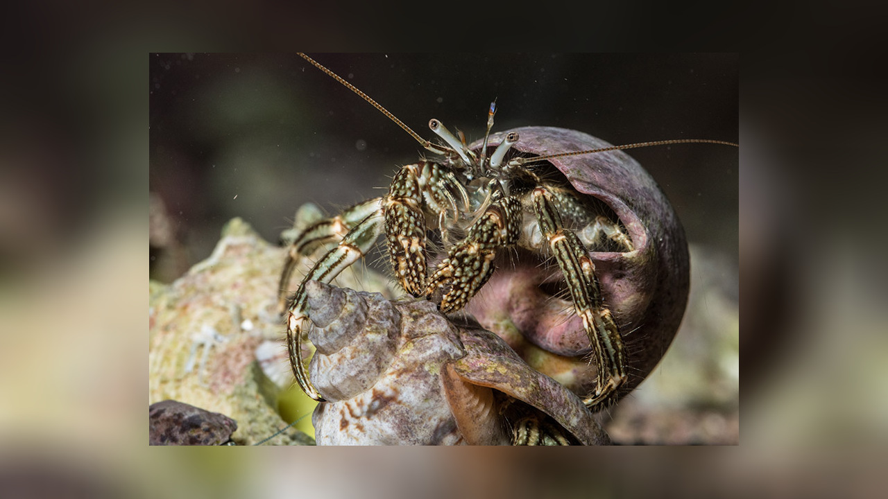Dieser Eintrag wurde bestimmt. Es handelt sich vermutlich um ...